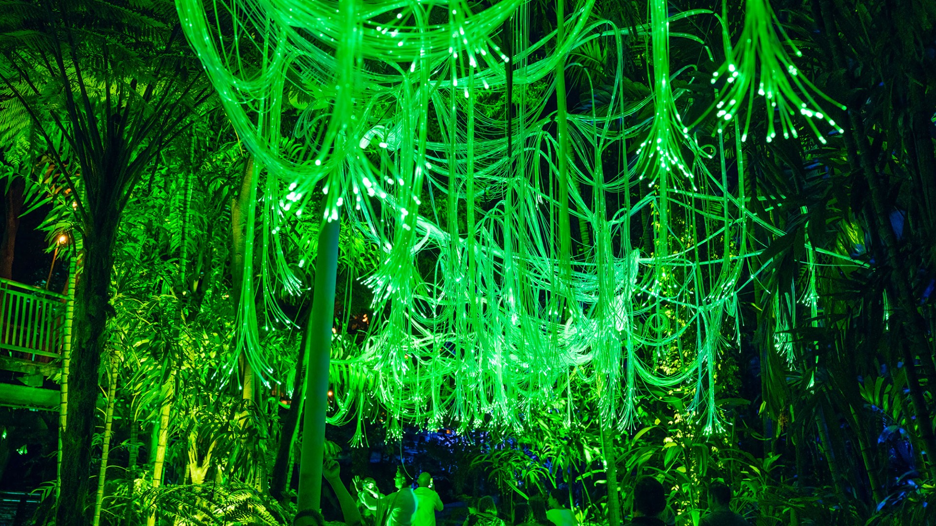 The Enchanted Garden